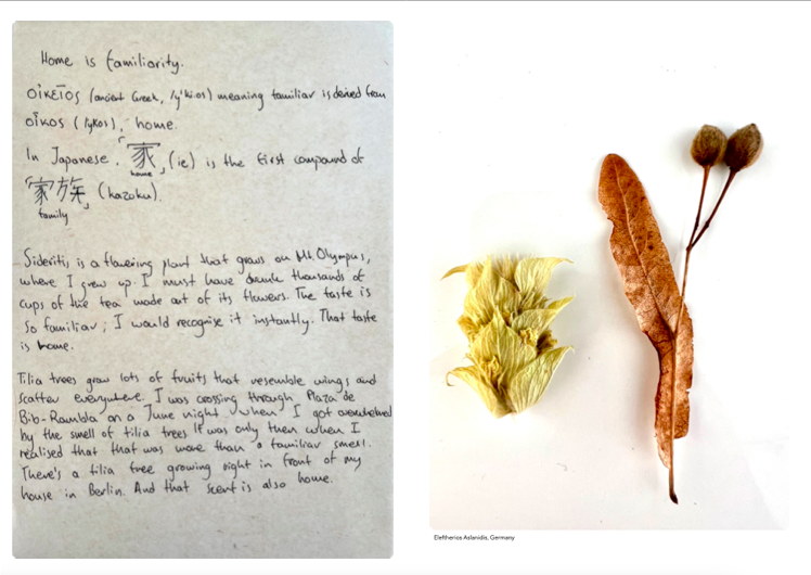 The Art of Zine-Making: Empowerment, Expression, and a Glimpse into DIY ...